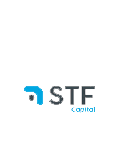 STF Capital - Construction Industry Federation of Zimbabwe